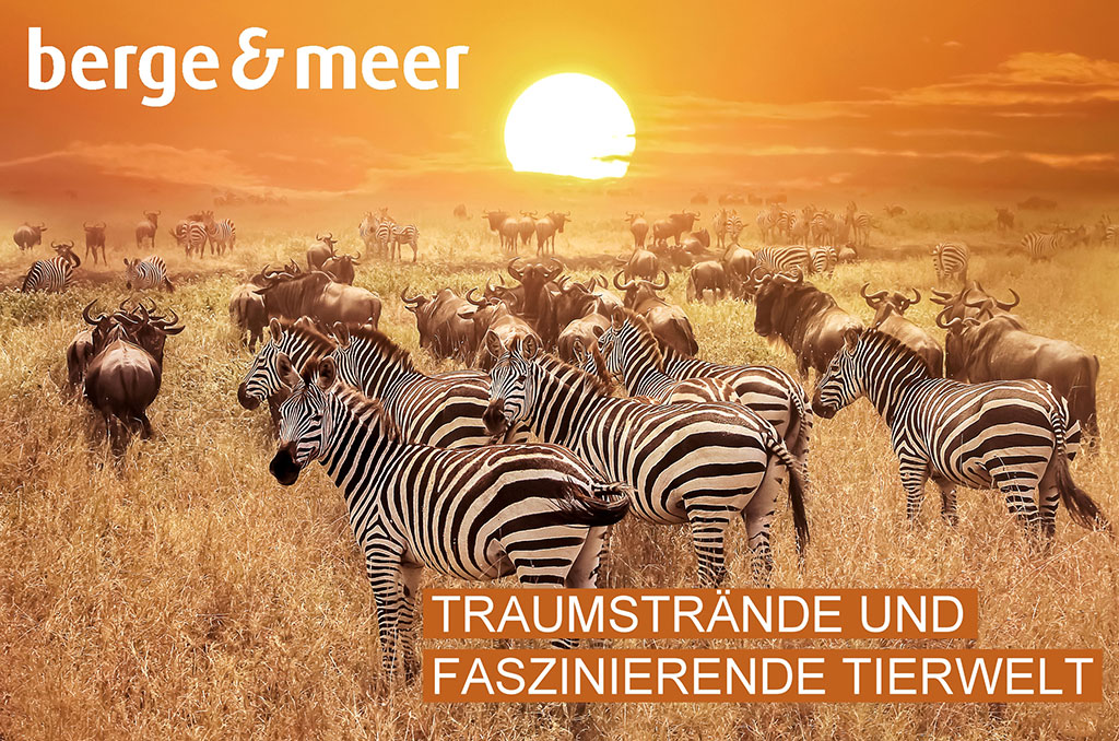 Startseite – BB Bank